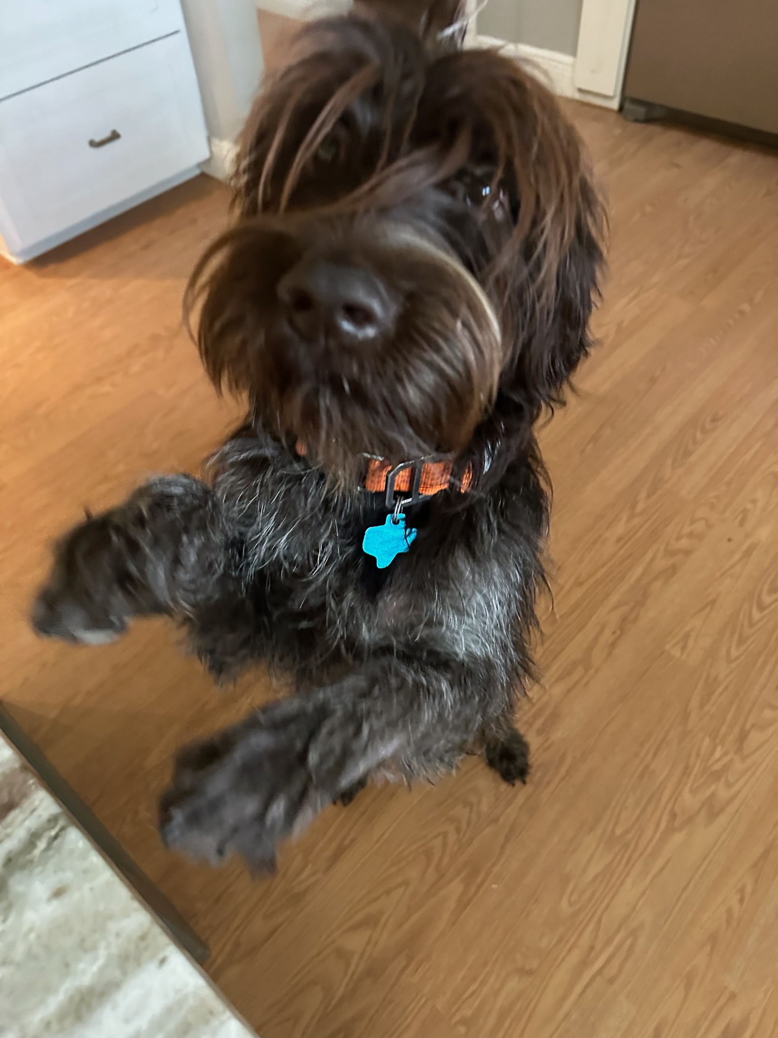 Mark LaRue's SOMETIMES DAILY MUSINGS 10/31/23 - LaRue Tactical